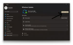How to Fix Translucent Box on Screen in Windows 11 - DevsJournal