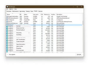 How to Fix Translucent Box on Screen in Windows 11 - DevsJournal