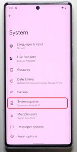 Fix: Google Pixel 6 / 6 Pro Black Screen of Death Issue - DevsJournal